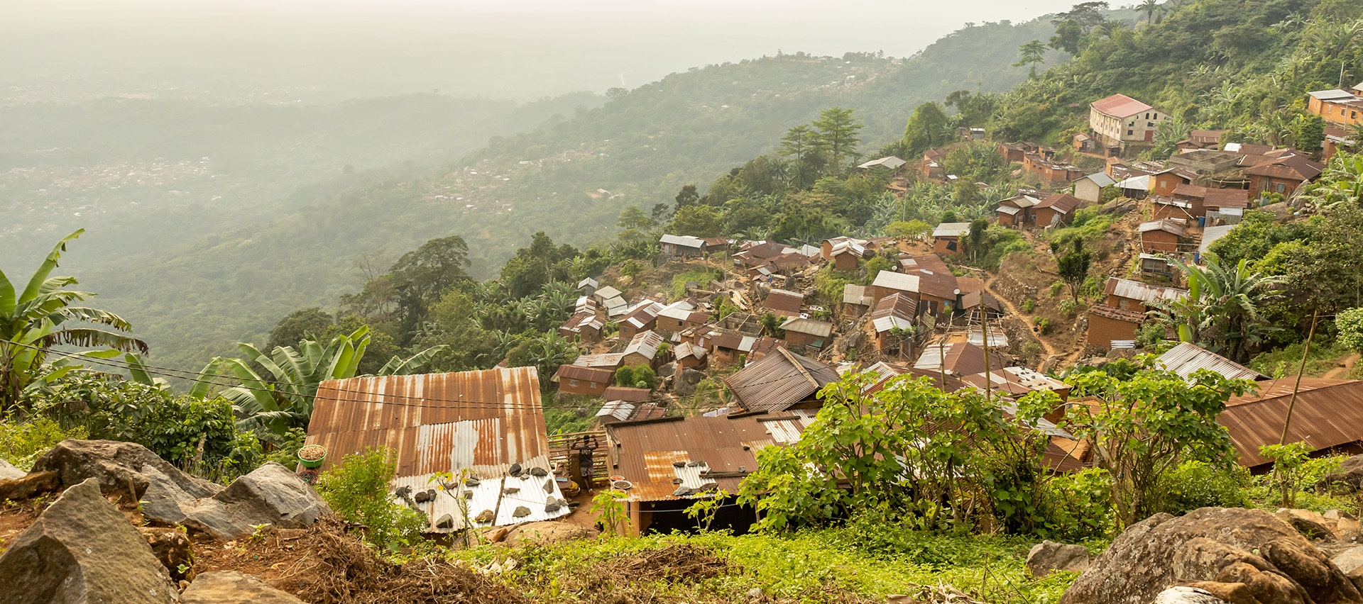 Racines Profondes - Mairie de Agou 1